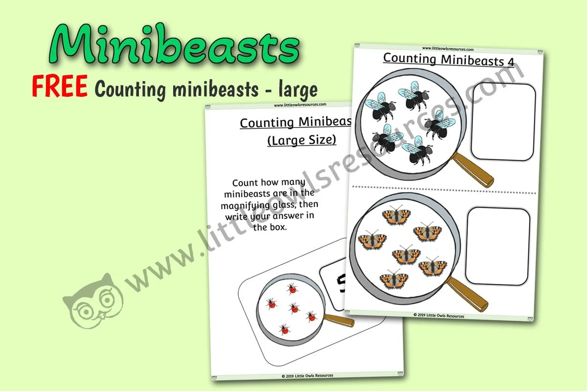 FREE MINIBEASTS printable Early Years/EYFS/preschool/childminder ...