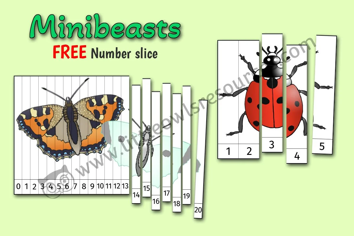 FREE MINIBEASTS printable Early Years/EYFS/preschool/childminder ...