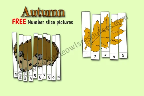 FREE Autumn/Fall printable Early Years/EYFS/preschool/childminder ...