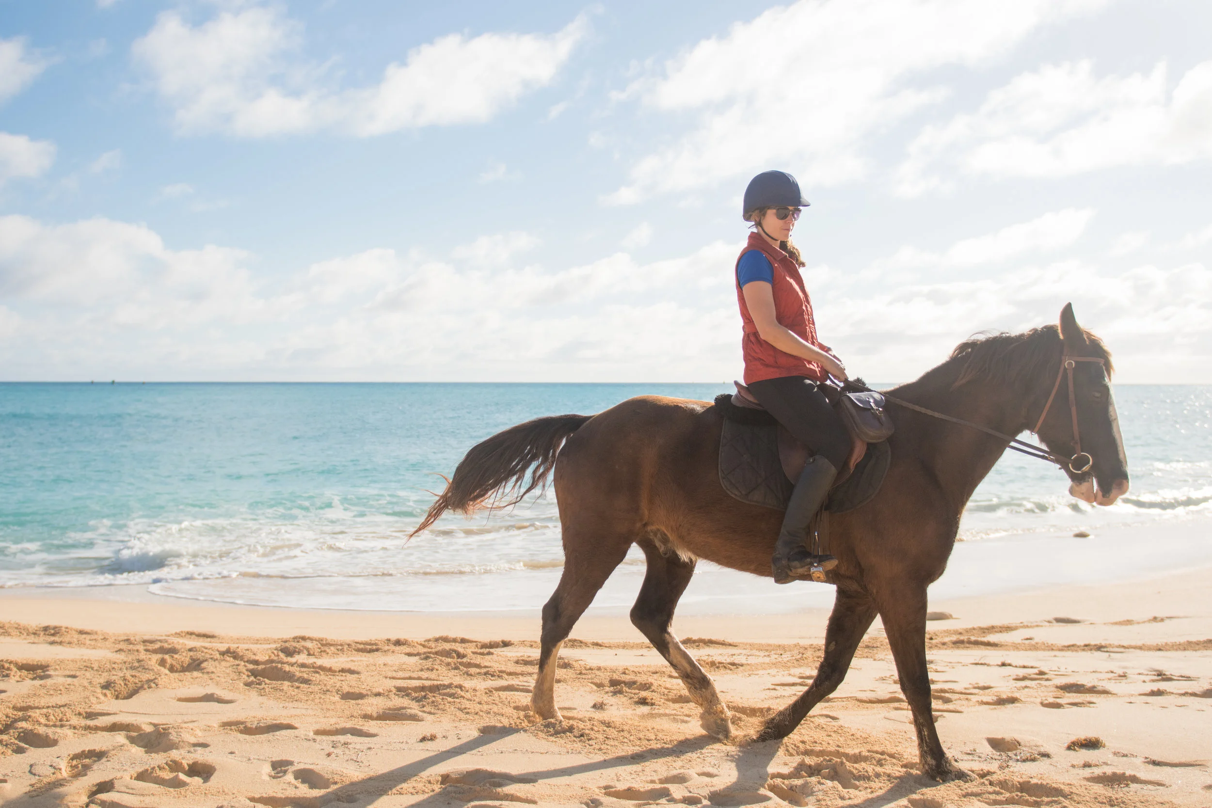 How to Take Vaca Photos Like a Pro — Life with a View Studio