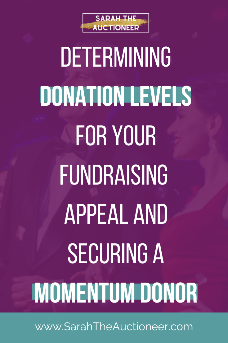 Determining Donation Levels for your Fundraising Appeal and Securing a ...