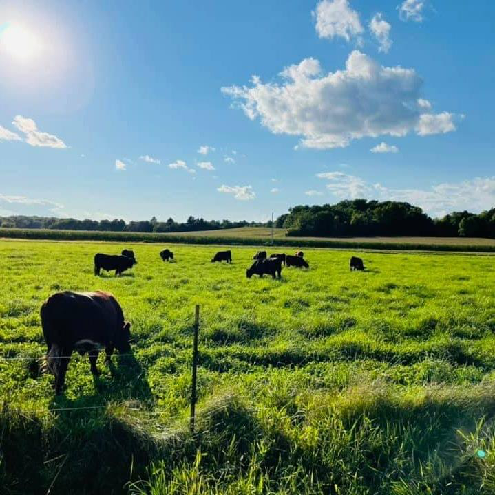 Kowalski Angus Farm
