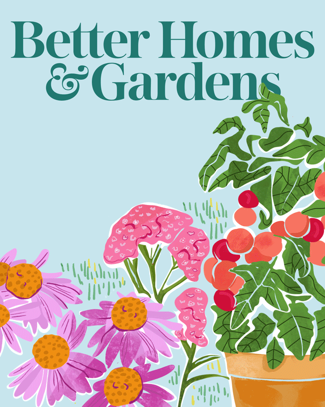 Illustration Home — Caitlin-Marie Miner Ong