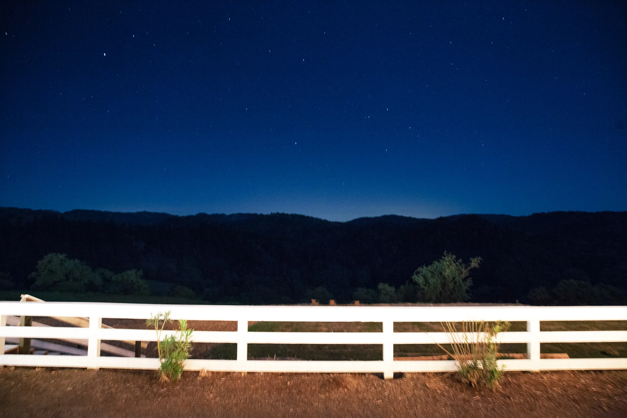 Photos Just So: Northern California Wedding Photographers