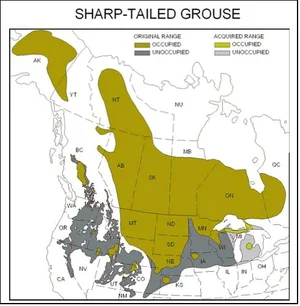 Prairie Grouse — The North American Grouse Partnership