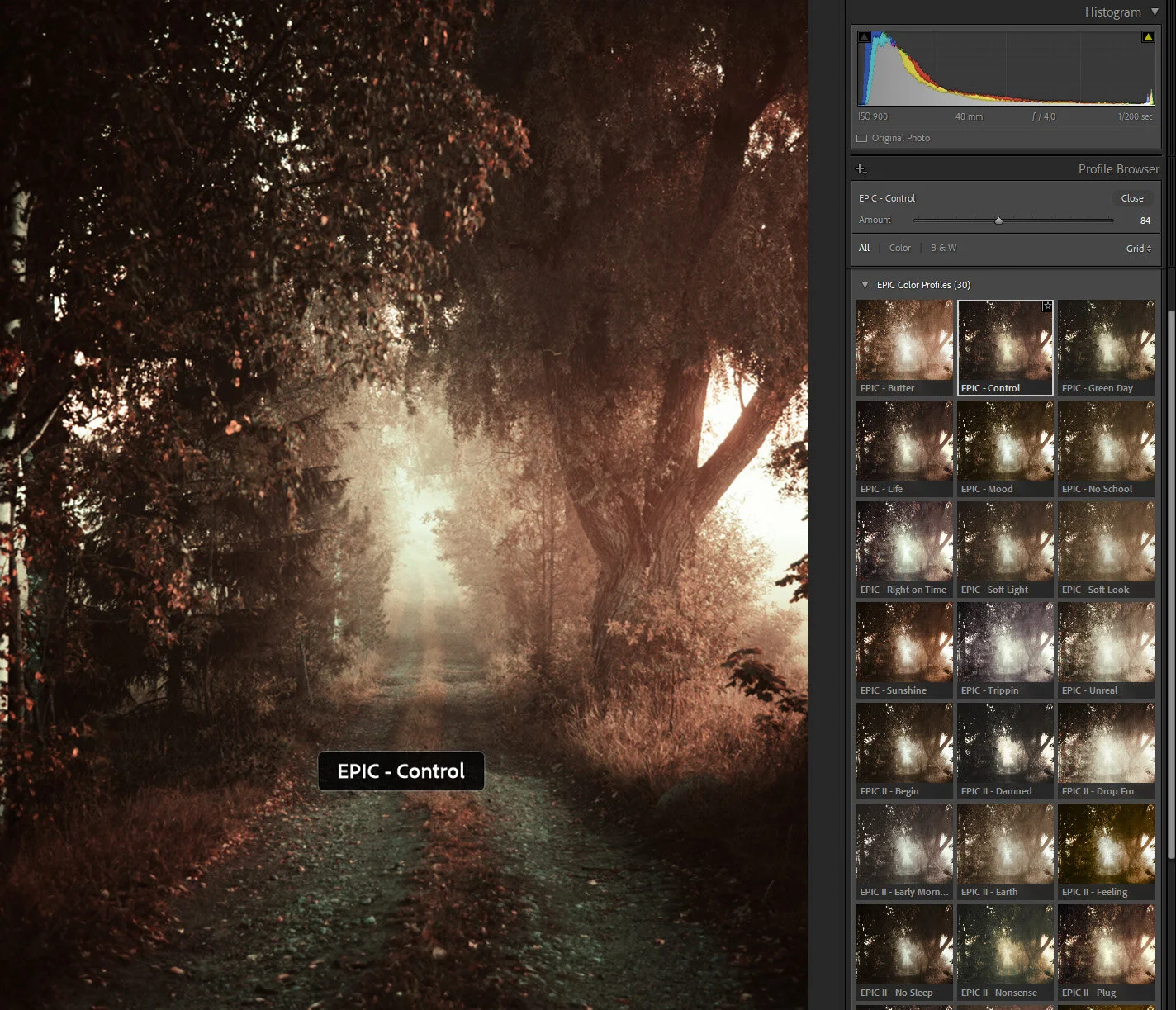 How to create EPIC old-style sepia colors in Lightroom CC — Mikko ...