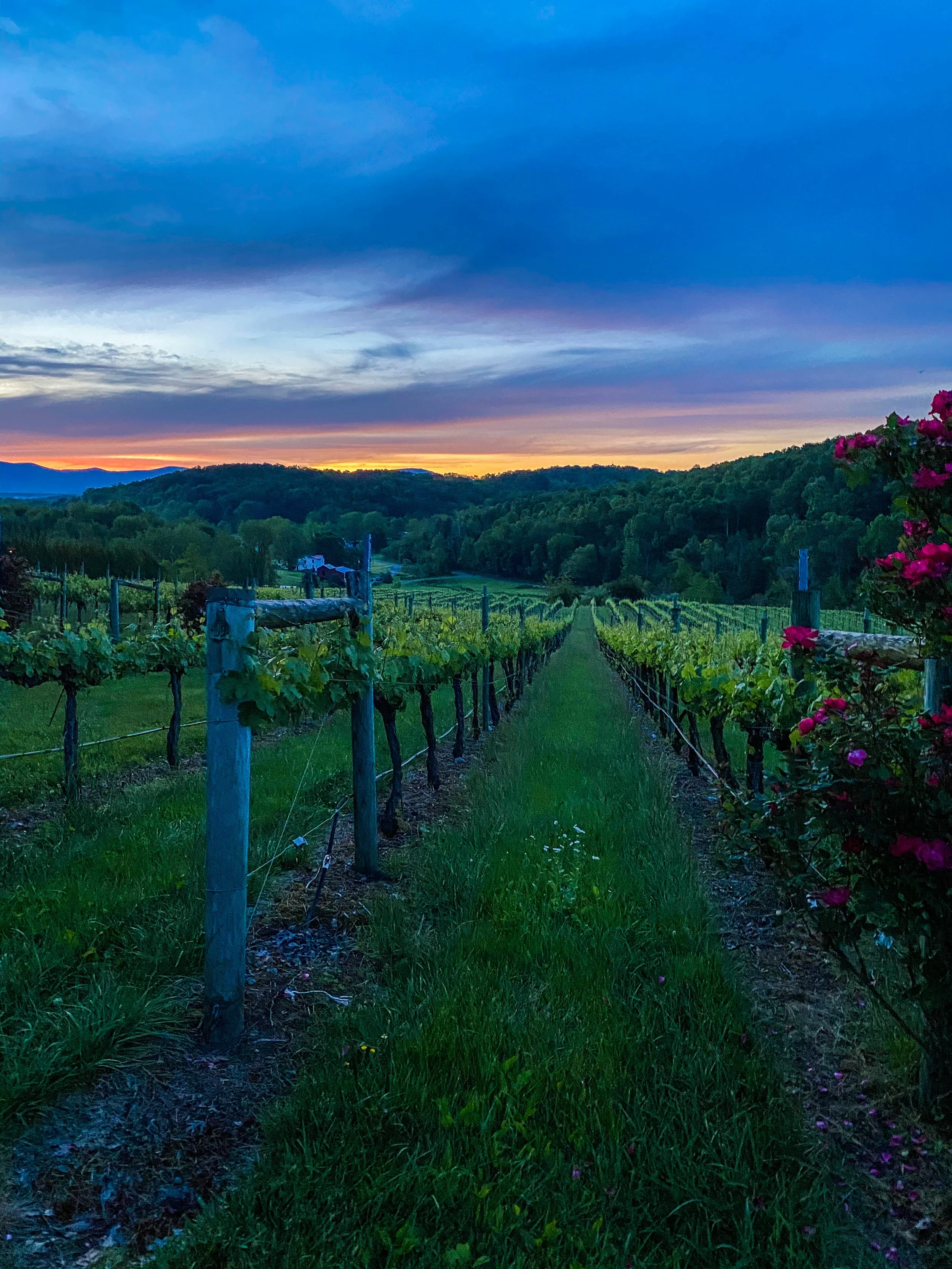 Visit Us — Cave Ridge Vineyard