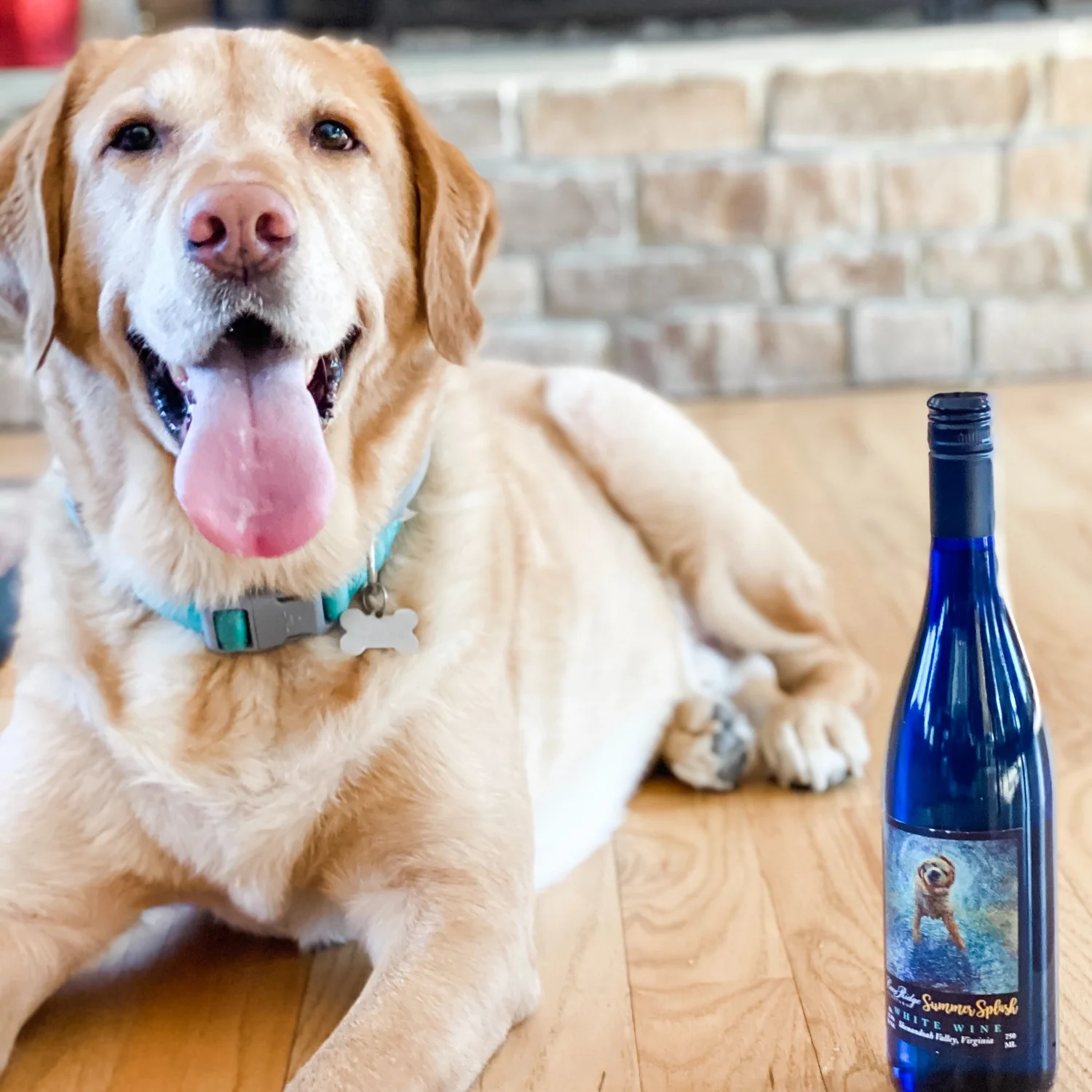 Visit Us — Cave Ridge Vineyard