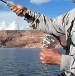 Rexfly Casting System — Rexfly