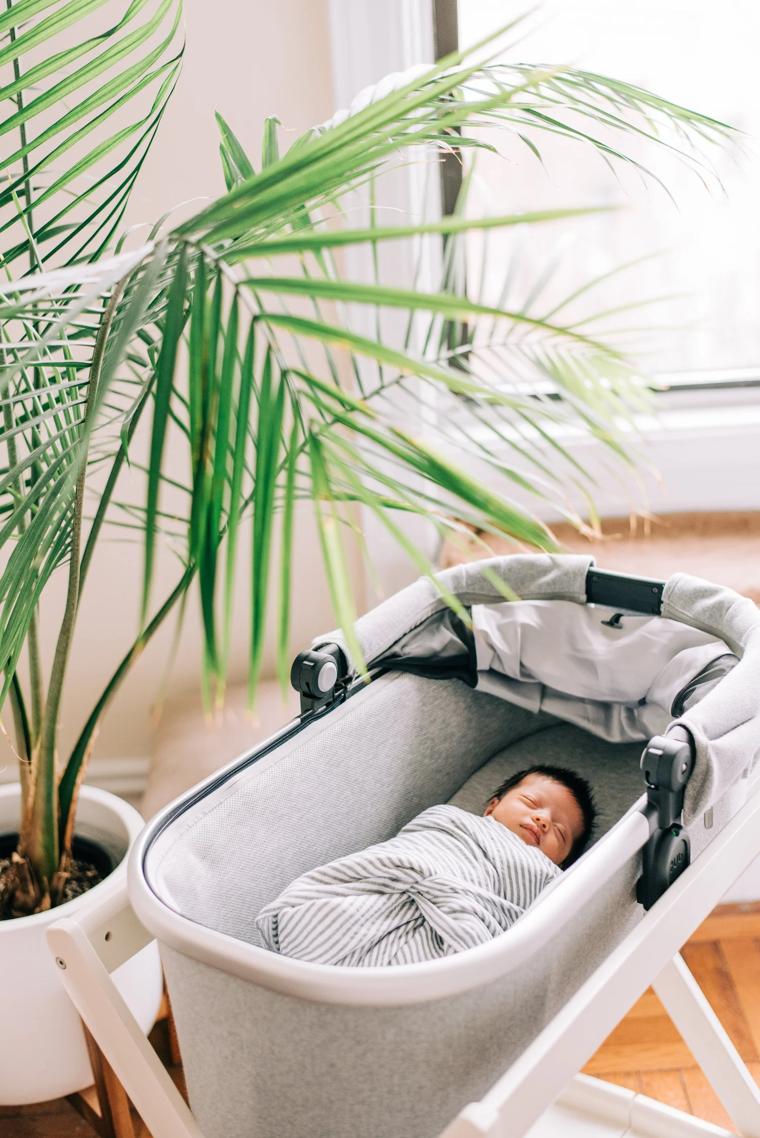 Brooklyn, New York Family Photography & Newborn Photographer | Shelley ...