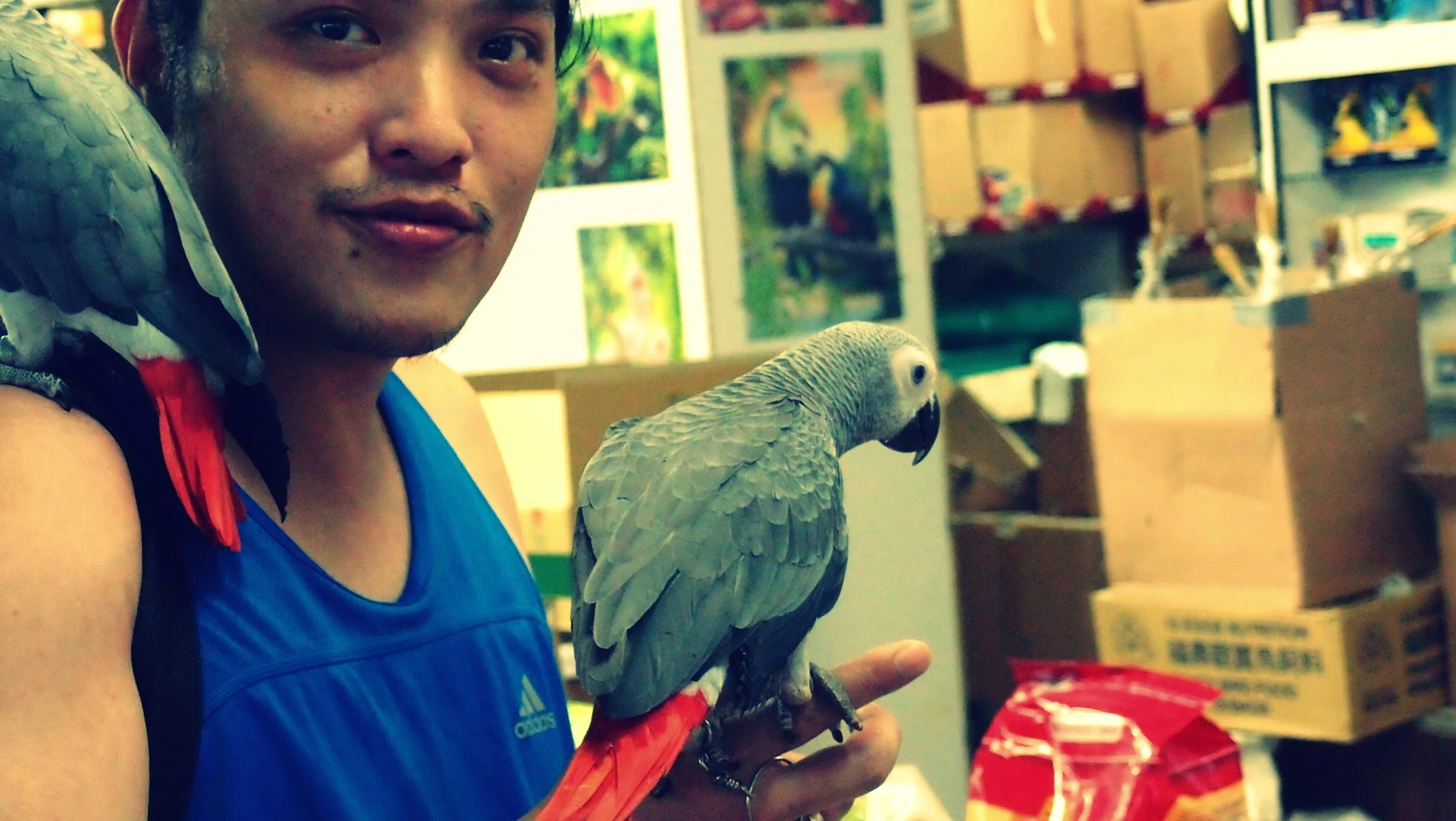 Hong Kong Tour | The Yuen Po Bird Market, Mong Kok, Hong Kong — J3 ...