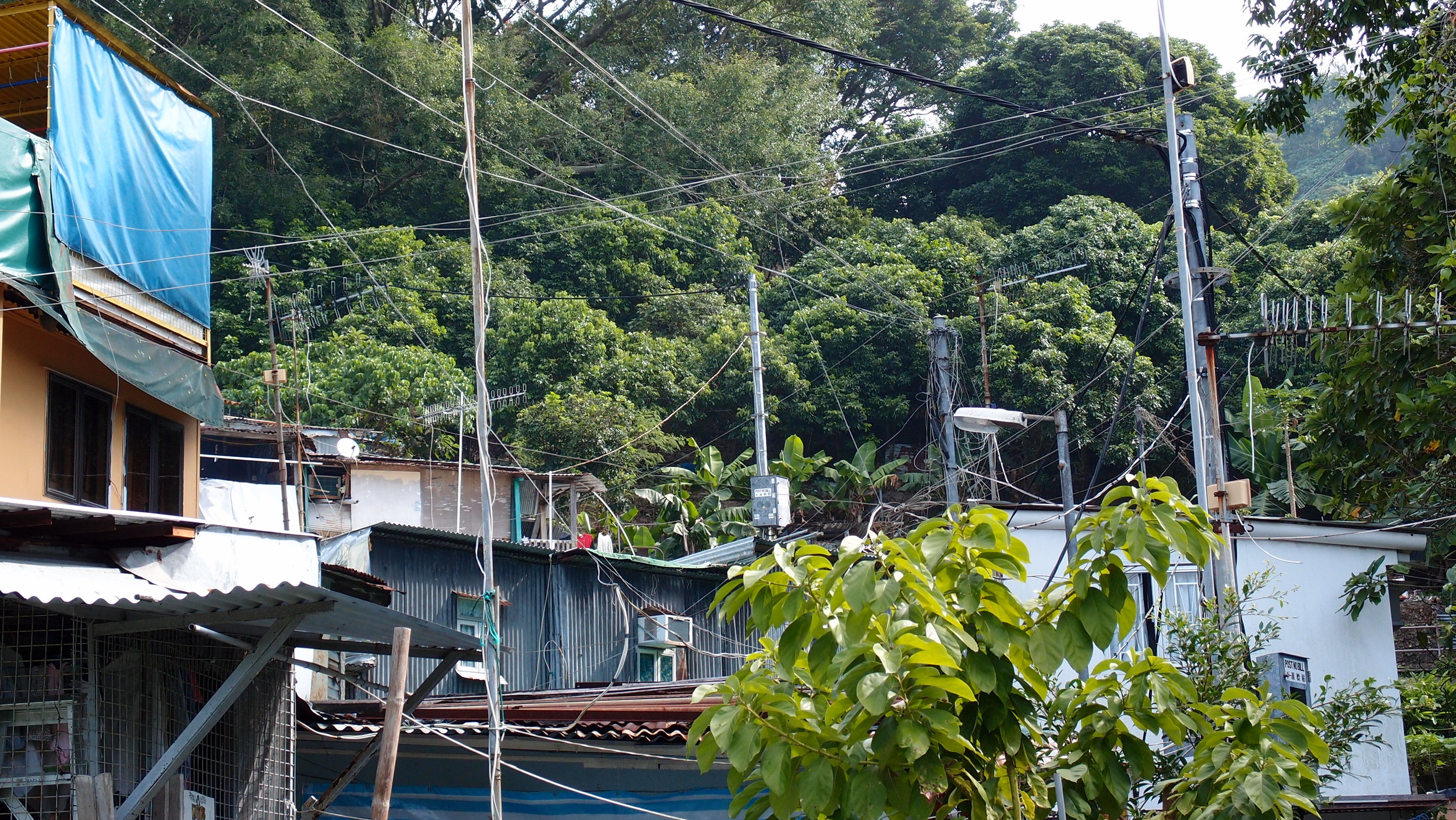 Hong Kong Full Day Private Tour | Pokfulam Squatter Village — J3 ...