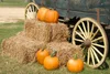 12 Fun Fall Activities for College Students - CampusGroups