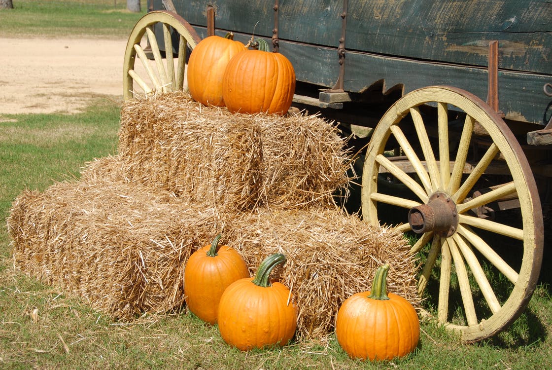12 Fun Fall Activities for College Students - CampusGroups