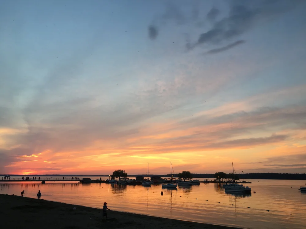 Spirit Animal Painting Tutorial - News