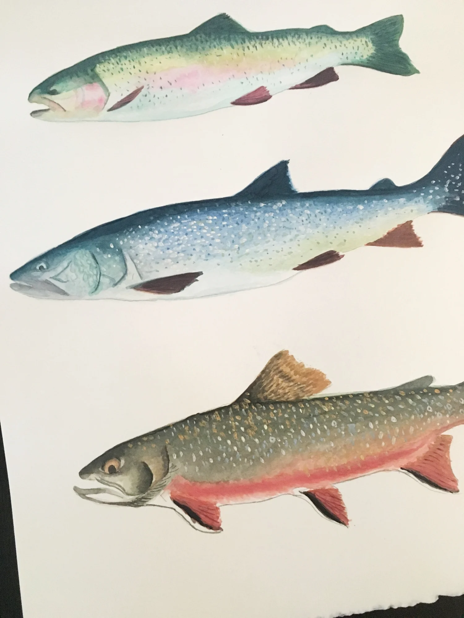 Water color illustrations - News