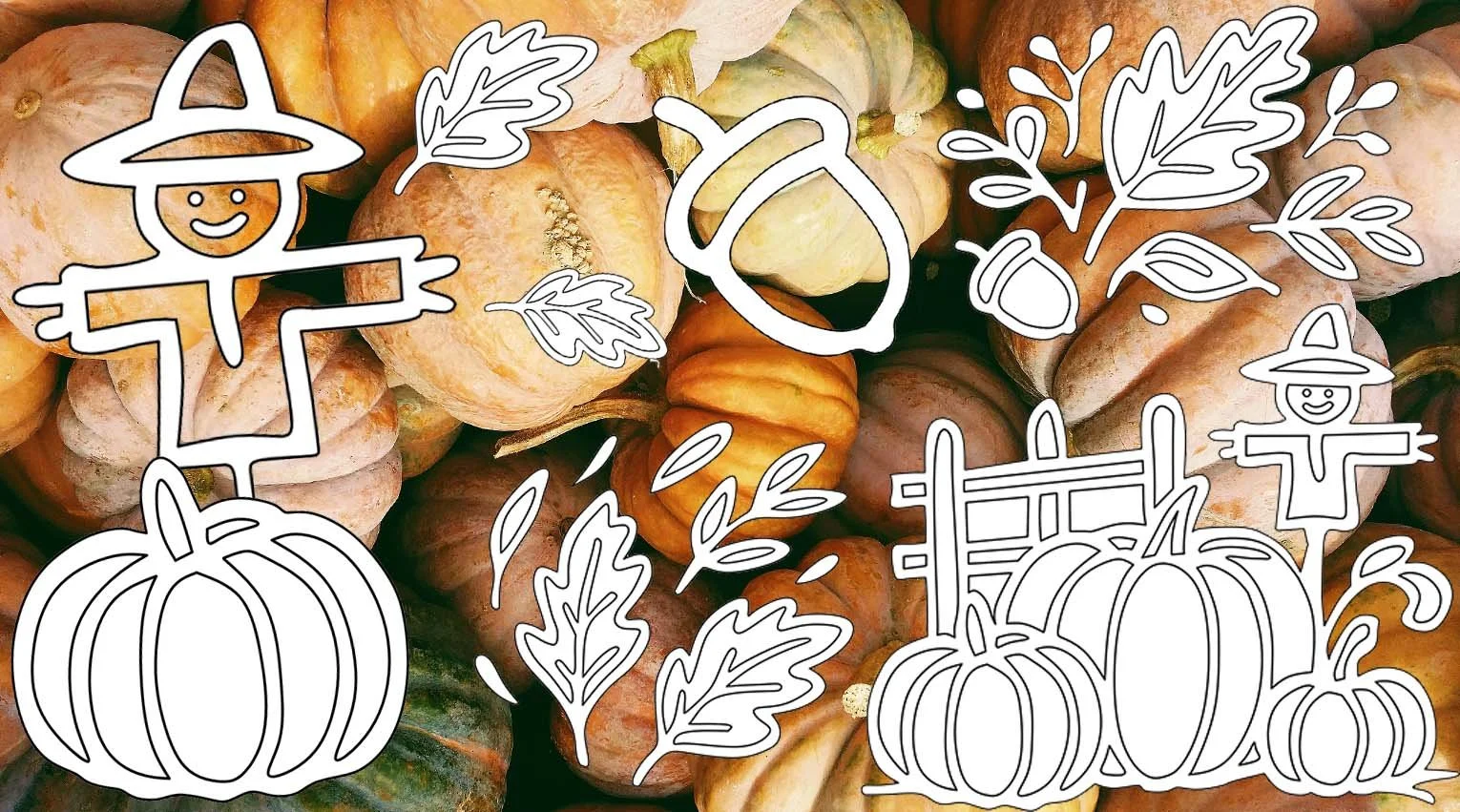 New Fall Designs! - News