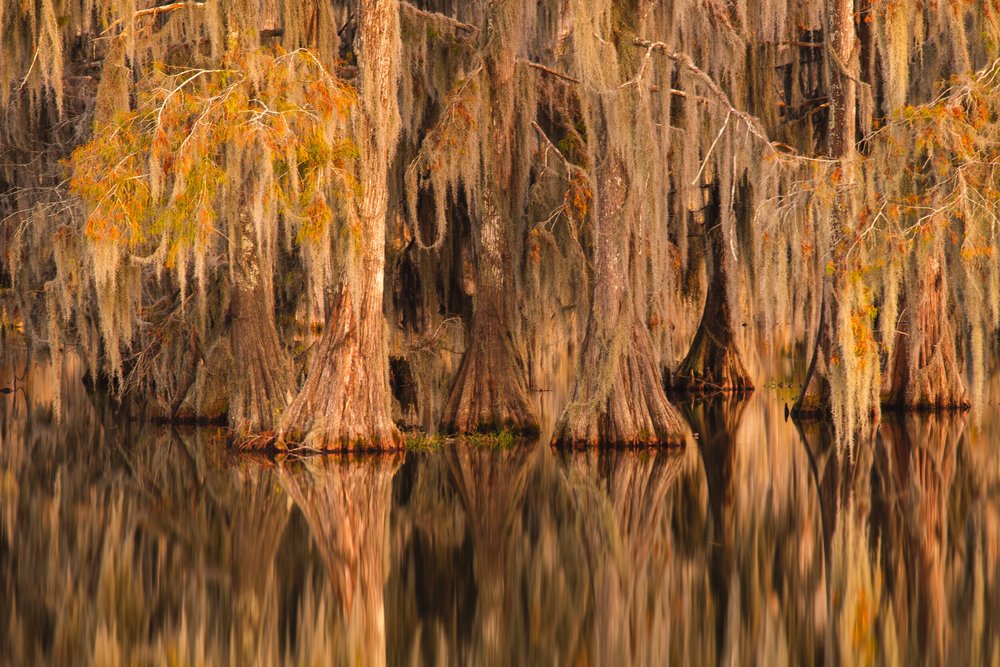 Louisiana Fall Photography Tours — Charles Bush Photography