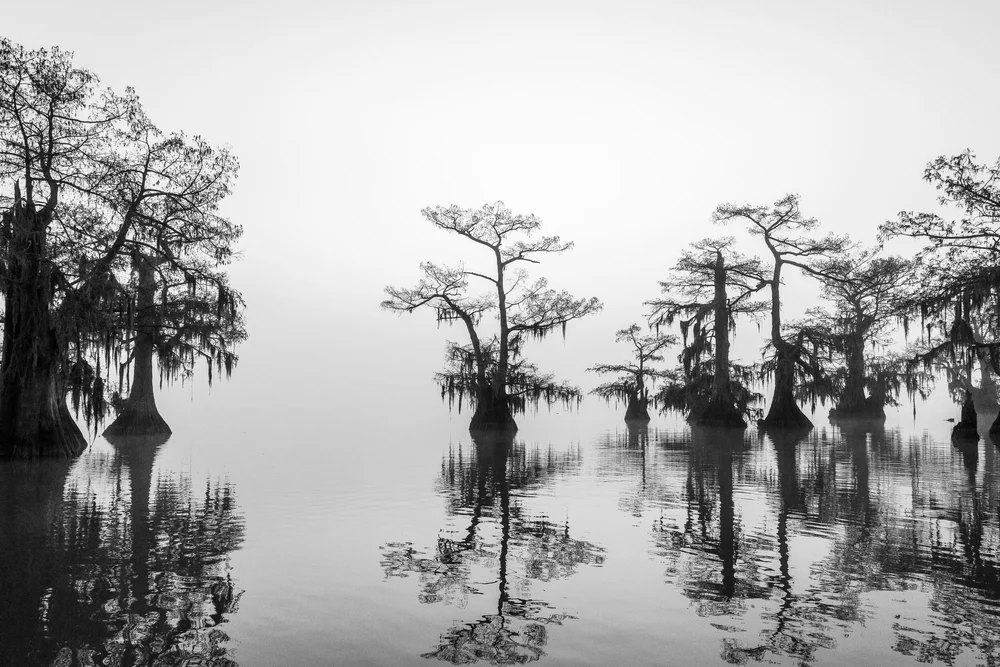 Louisiana Fall Photography Tours — Charles Bush Photography