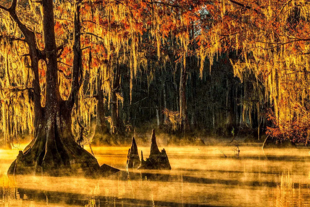 Louisiana Fall Photography Tours — Charles Bush Photography