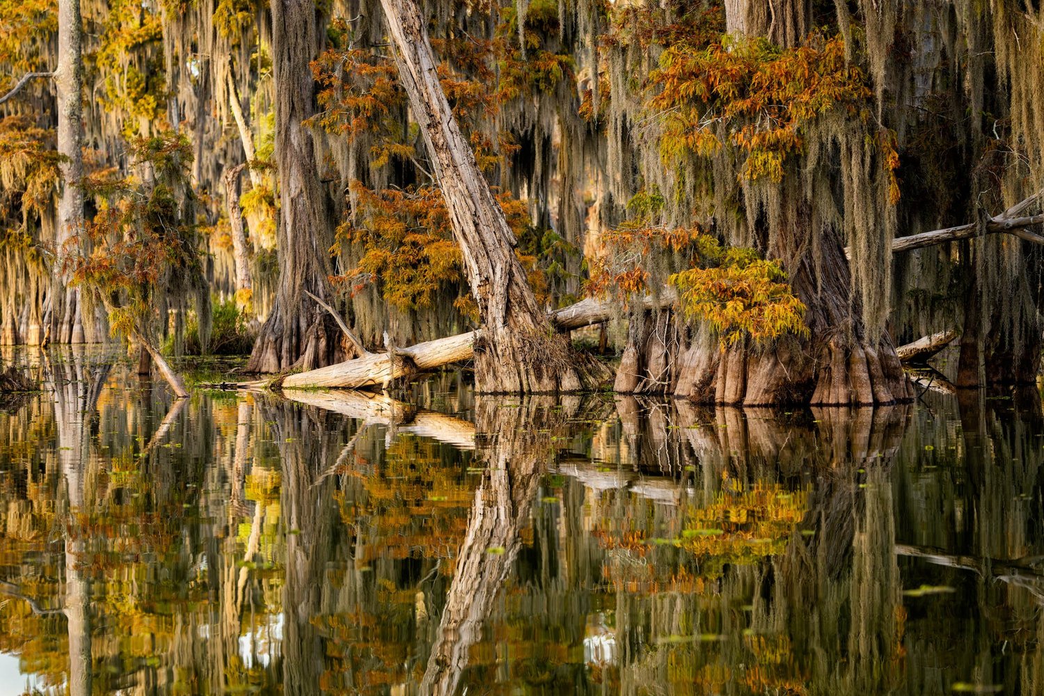Photo of the week blog posts — Charles Bush Photography