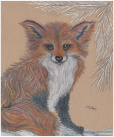 Window Gallery — The Medina County Arts Council