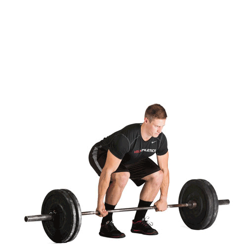 Complex Training: Pairing Strength and Power For Explosive Results ...