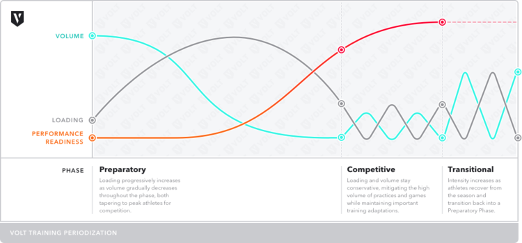 Breaking Down the Periodized Calendar: A Guide to Volt's Blocks — Volt ...