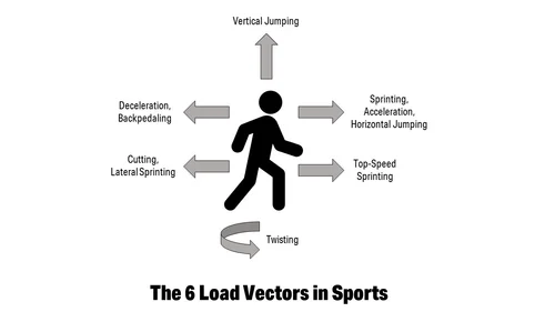 LTAD Part 1: Definition and History — Volt Performance Blog