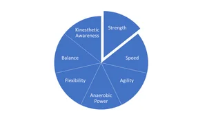 What is Athleticism and How is it Tested? Are We Re-inventing the Wheel ...
