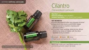 DoTerra Essential Oils and Uses - Healthy Life Chiropractic - Healthy ...