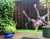Mission Control: an experimental hairy micro-office — 2hD Architecture ...
