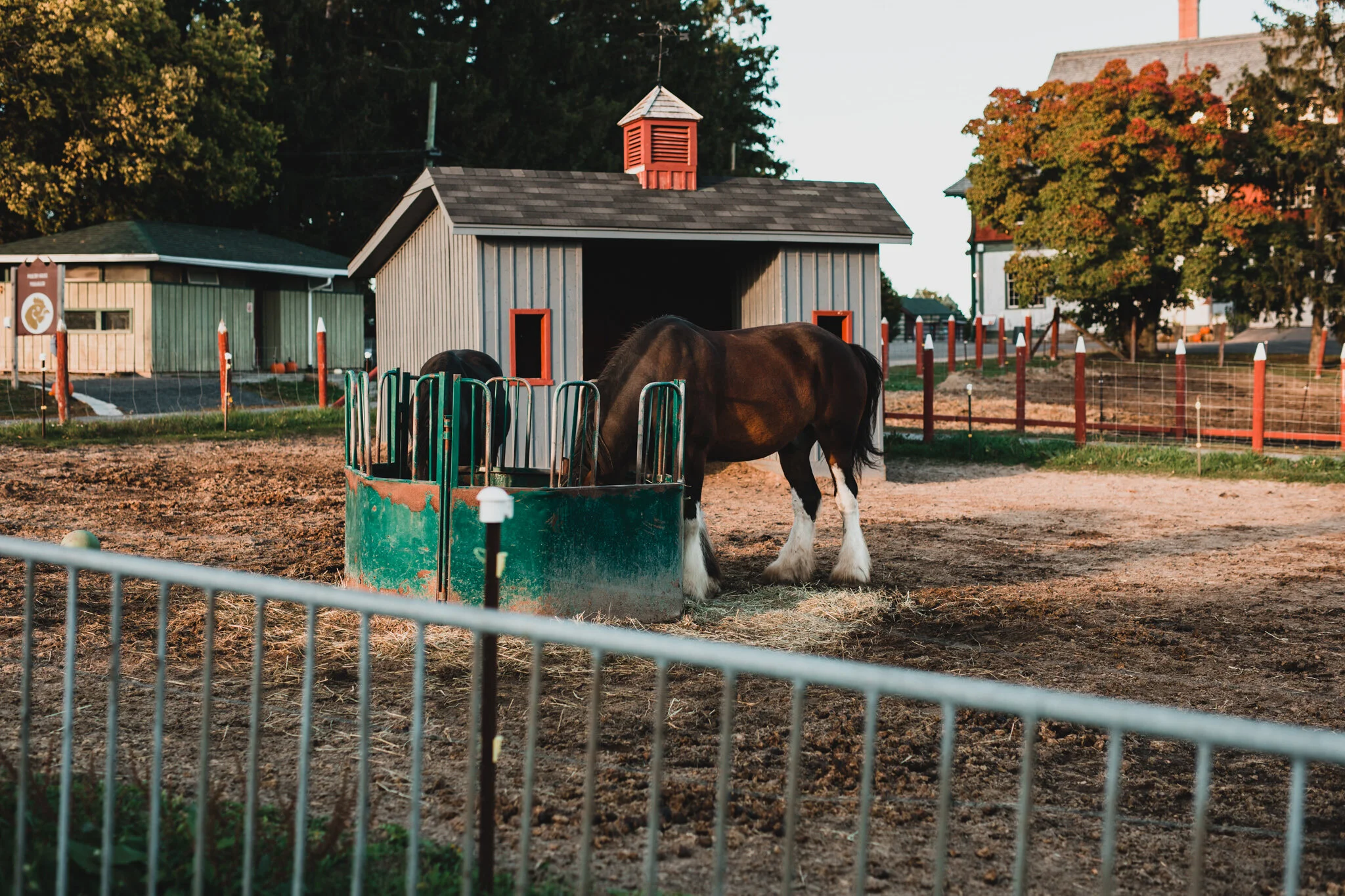 Wedding at Ottawa's Experimental Farm — Jonathan Kuhn Photography