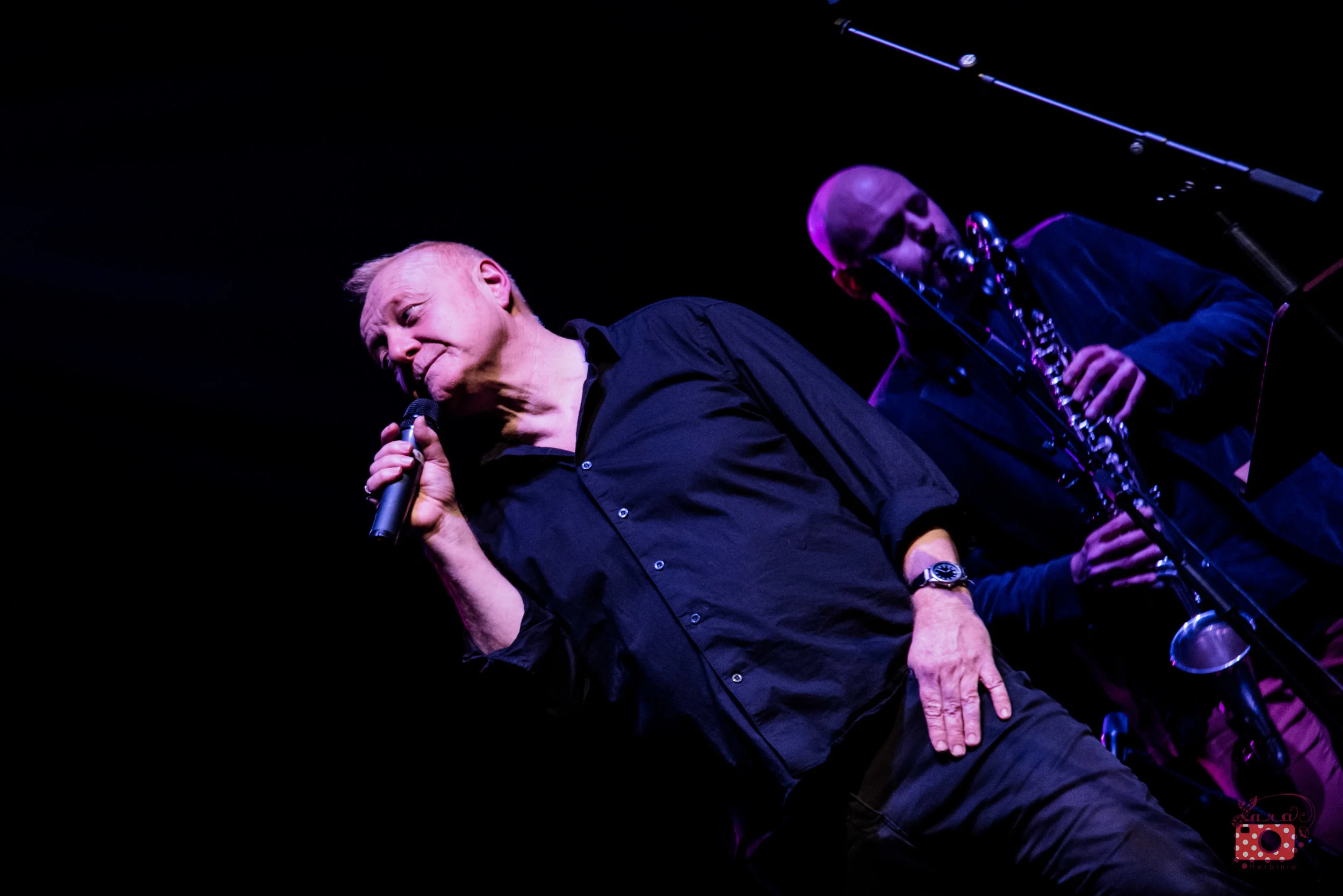 Claude Semal // Auditorium Jacques Brel // Bruxelles — Lara Herbinia