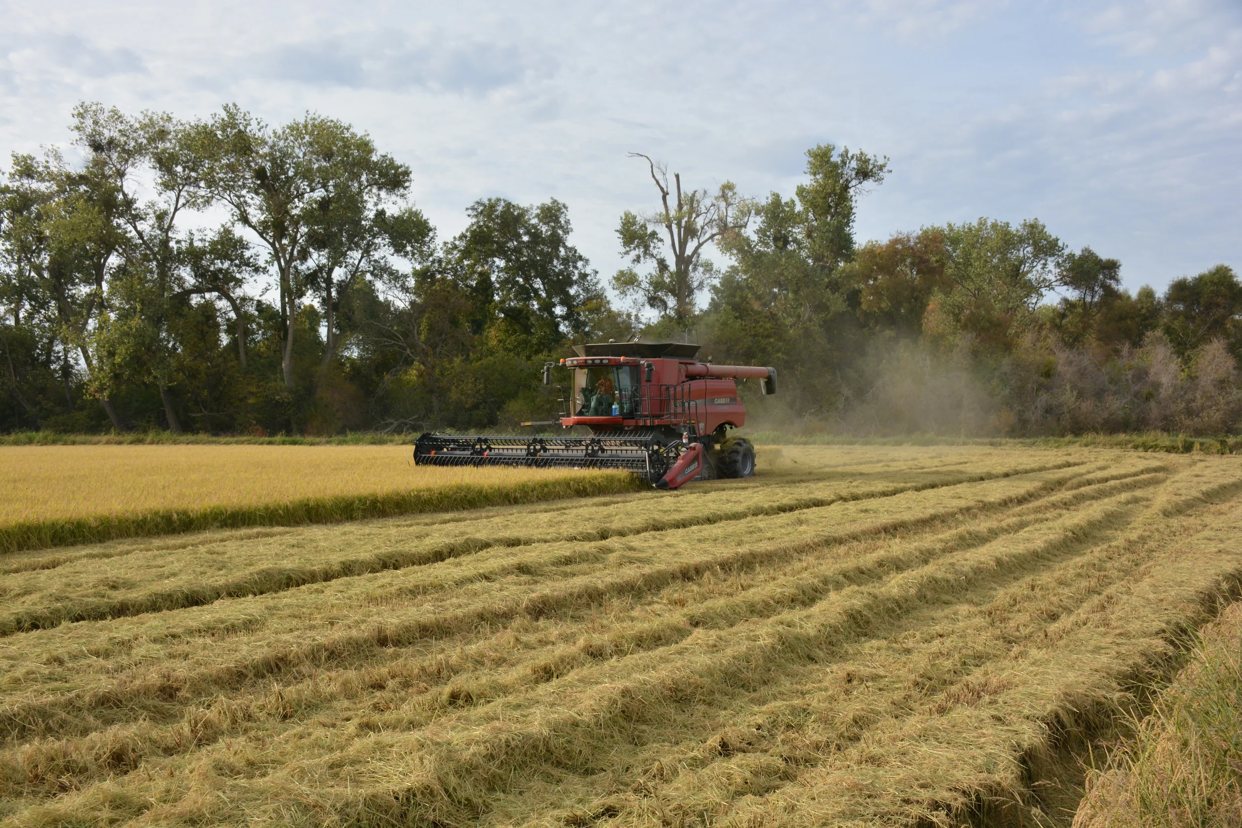 HOME — ROBBINS RICE COMPANY, INC.