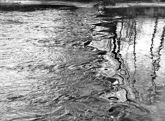 Walter Wick B&W Photography — Walter Wick Studio