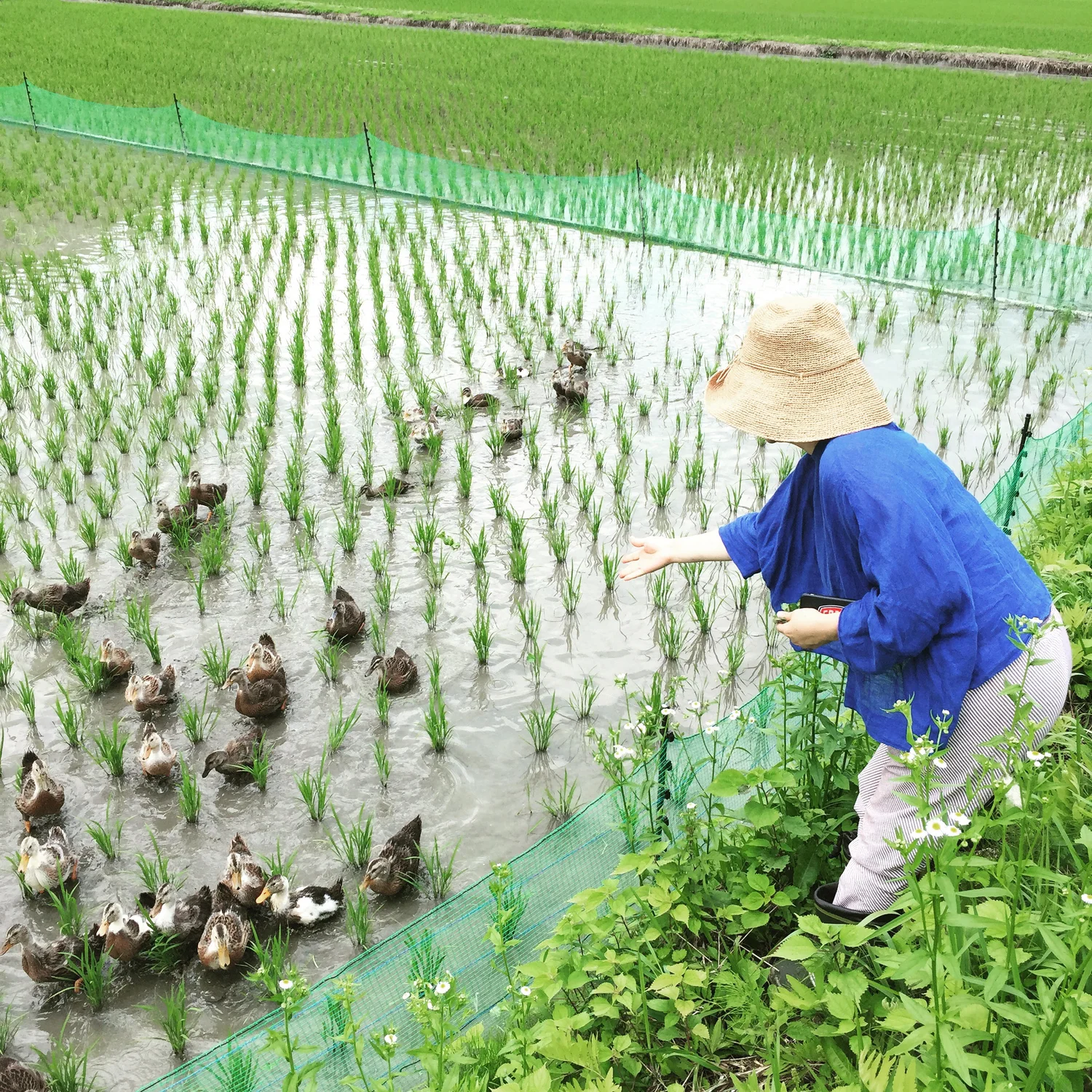 blog — Nomadic Kitchen