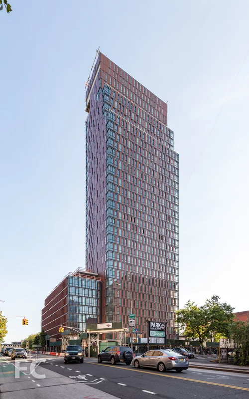 Tour: 203 Jay Street — FIELD CONDITION