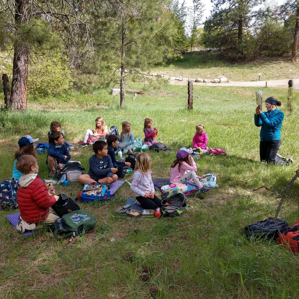 Willow — Mountain Sprouts Children's Community