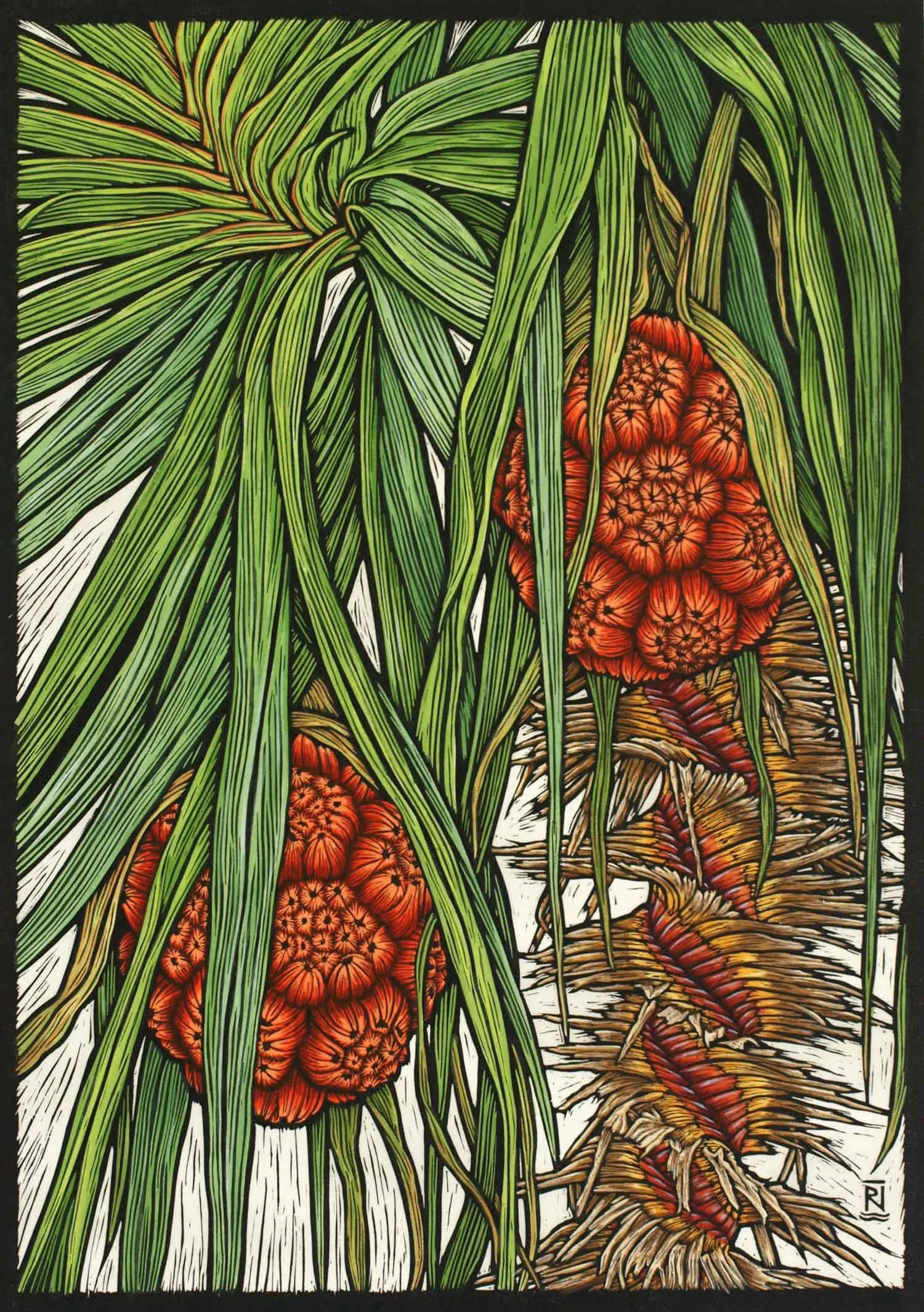 Linocuts of Australian Landscape, Trees & Water — Rachel Newling