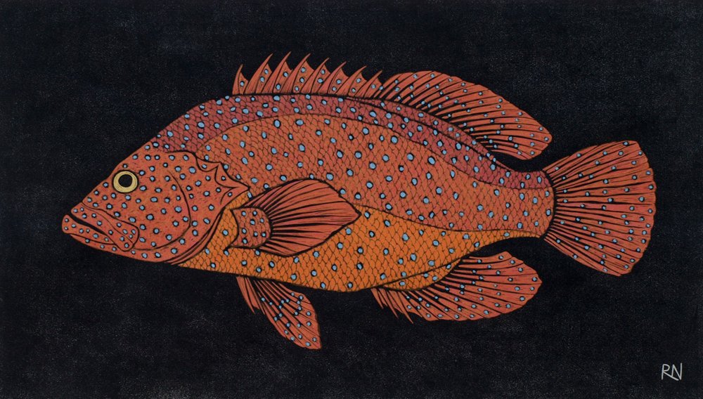Linocuts of Australian Wildlife & Sea Life — Rachel Newling
