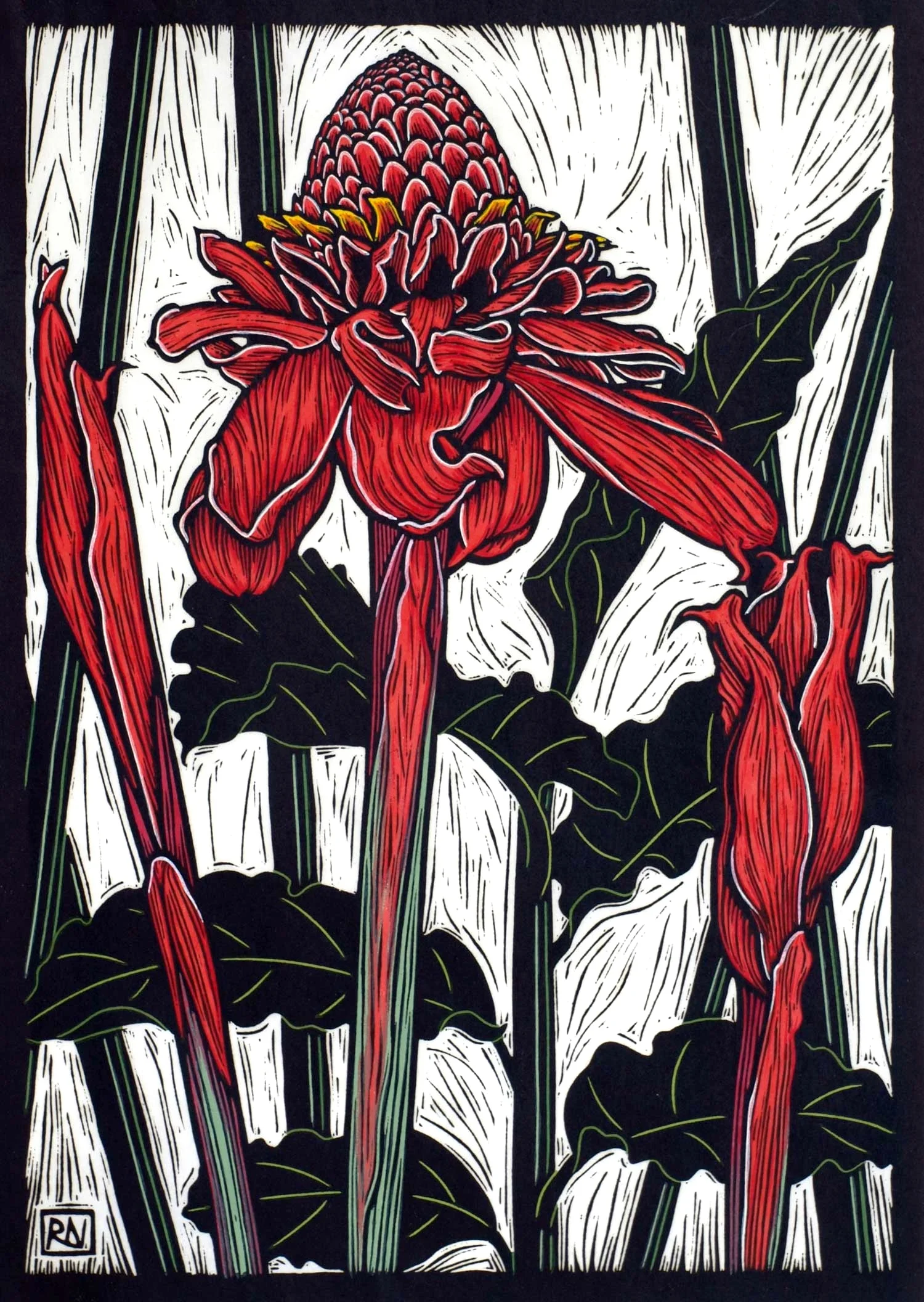 Linocuts of Exotic Flowers, Gallery 2 — Rachel Newling