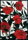 Linocuts of Exotic Flowers, Gallery 2 — Rachel Newling