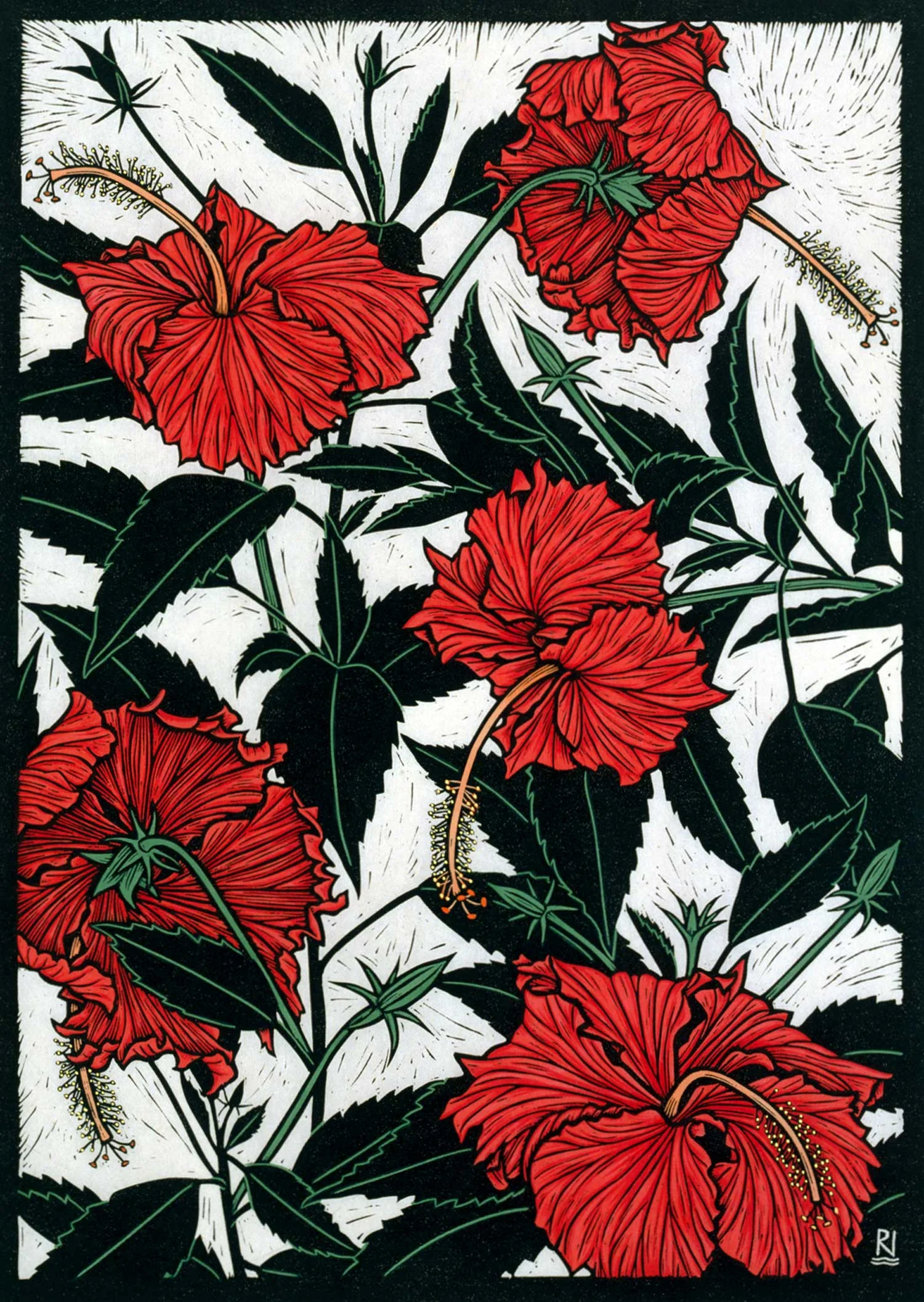 Linocuts of Exotic Flowers, Gallery 2 — Rachel Newling