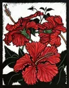 Linocuts of Exotic Flowers, Gallery 2 — Rachel Newling