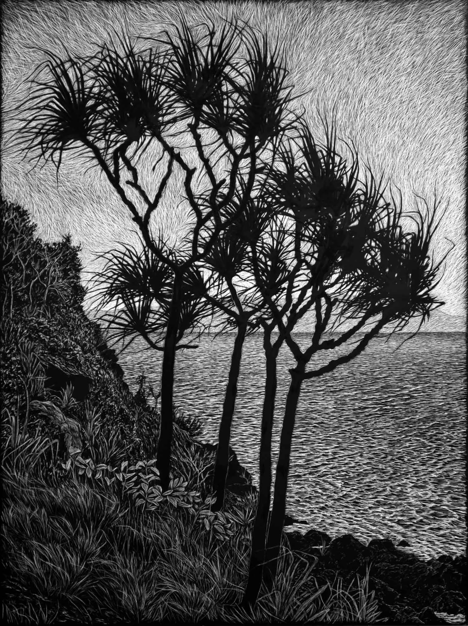 Gallery of Australian Landscape Engravings — Rachel Newling