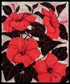 Linocuts of Exotic Flowers, Gallery 1 — Rachel Newling