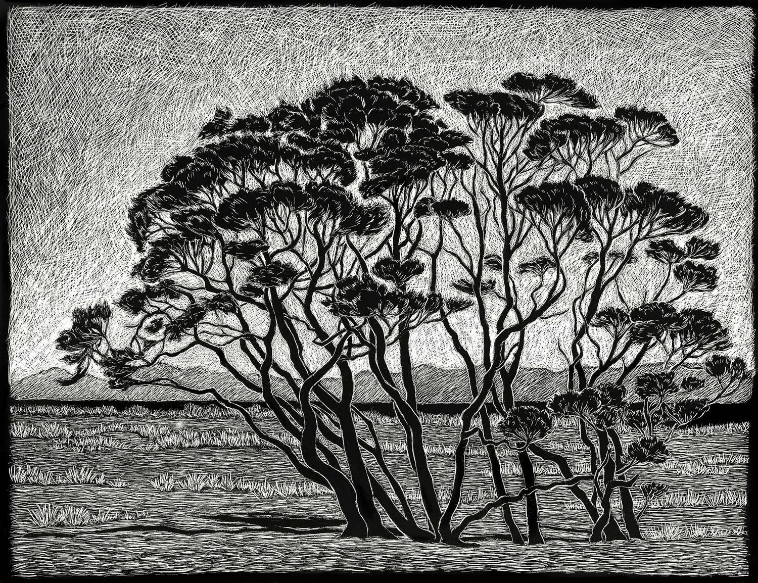 Gallery of wildlife, landscape & trees, engravings — Rachel Newling
