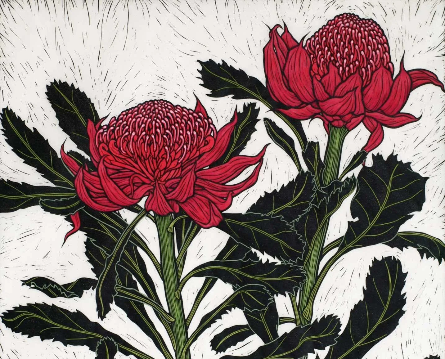 Australian Flowers - Linocuts — Rachel Newling