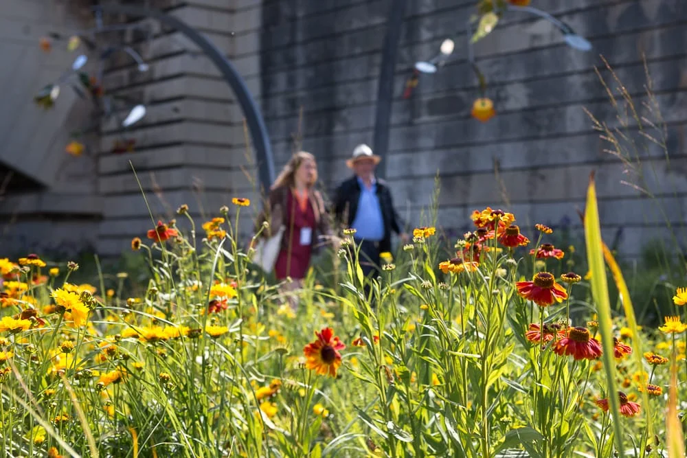 photographe-reportage-evenementiel-entreprise— Sébastien Borda ...